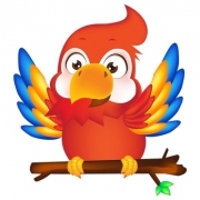 Bravolol - Learn English, French, Spanish, German, Chinese, Japanese